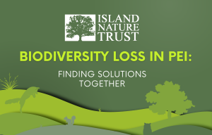 Home - Island Nature Trust
